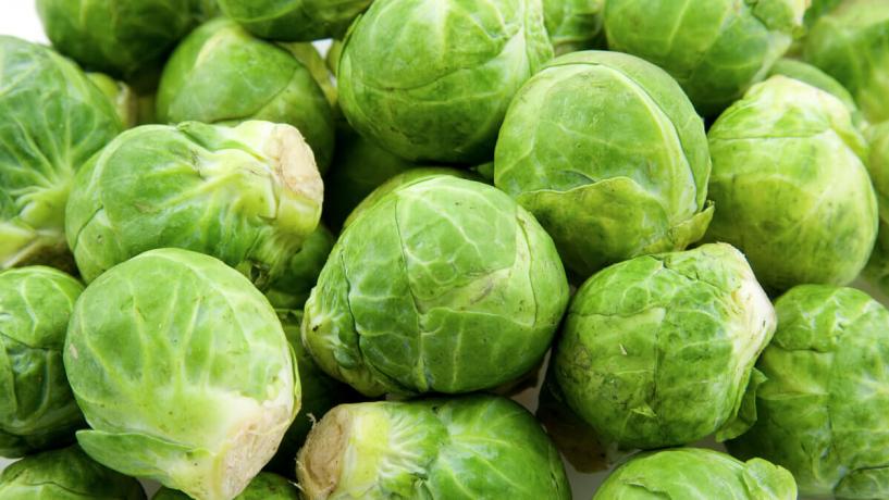 Kroger Removes Sprouts from Shelves Due to Food Safety Concerns