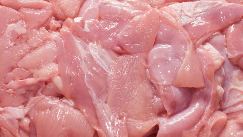 Baiada Poultry Adopts American Software to Improve Safety Standards