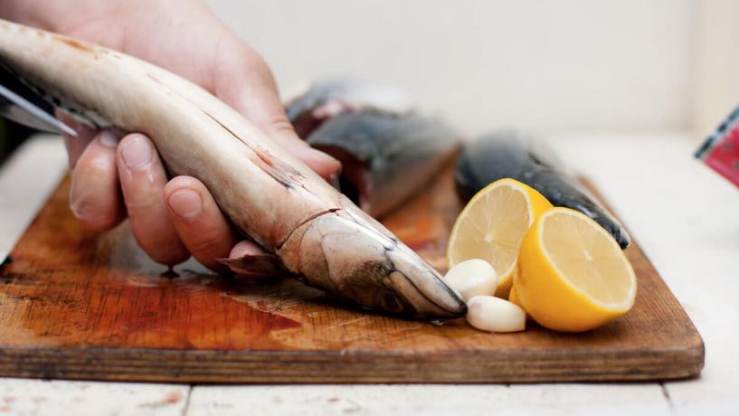 Radioactivity Levels in Fukushima Fish Steady Amid Safety Concerns