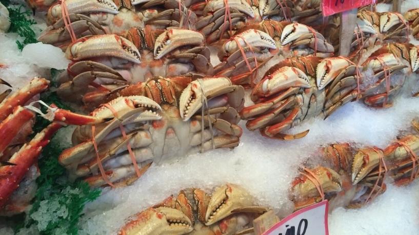 Improved Seafood Packaging Boosts South Australian Exports