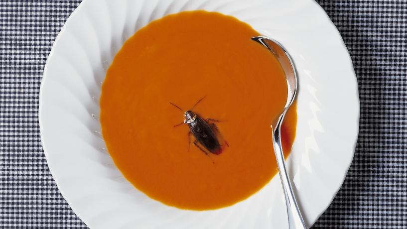 Celebrity Food Scare at Popular Sydney Restaurant Raises Concerns