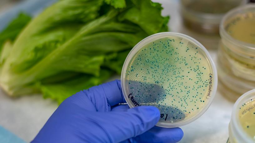 Cold Plasma Treatment for Fresh Produce Aims to Improve Safety