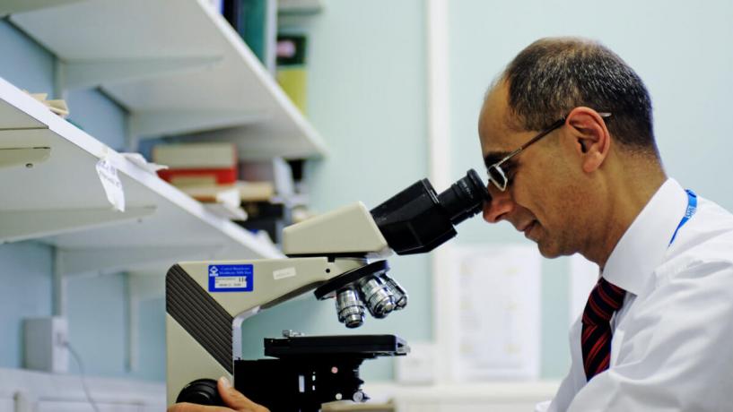 New Light Technology Boosts Food Safety